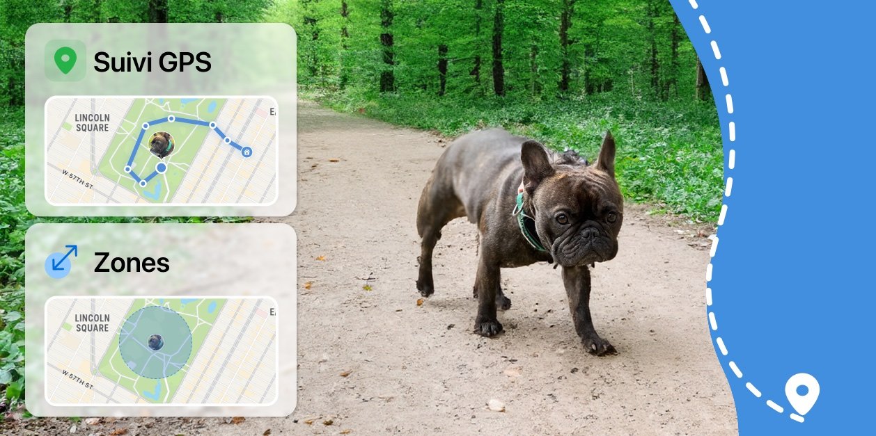 The best GPS tracker for the best of dogs! · Blog