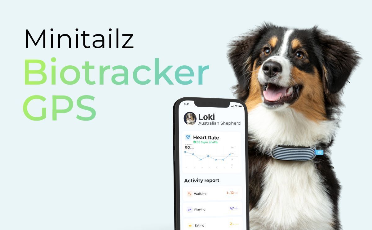 Minitailz Evolves: Discover the Minitailz Biotracker GPS, the Connected ...
